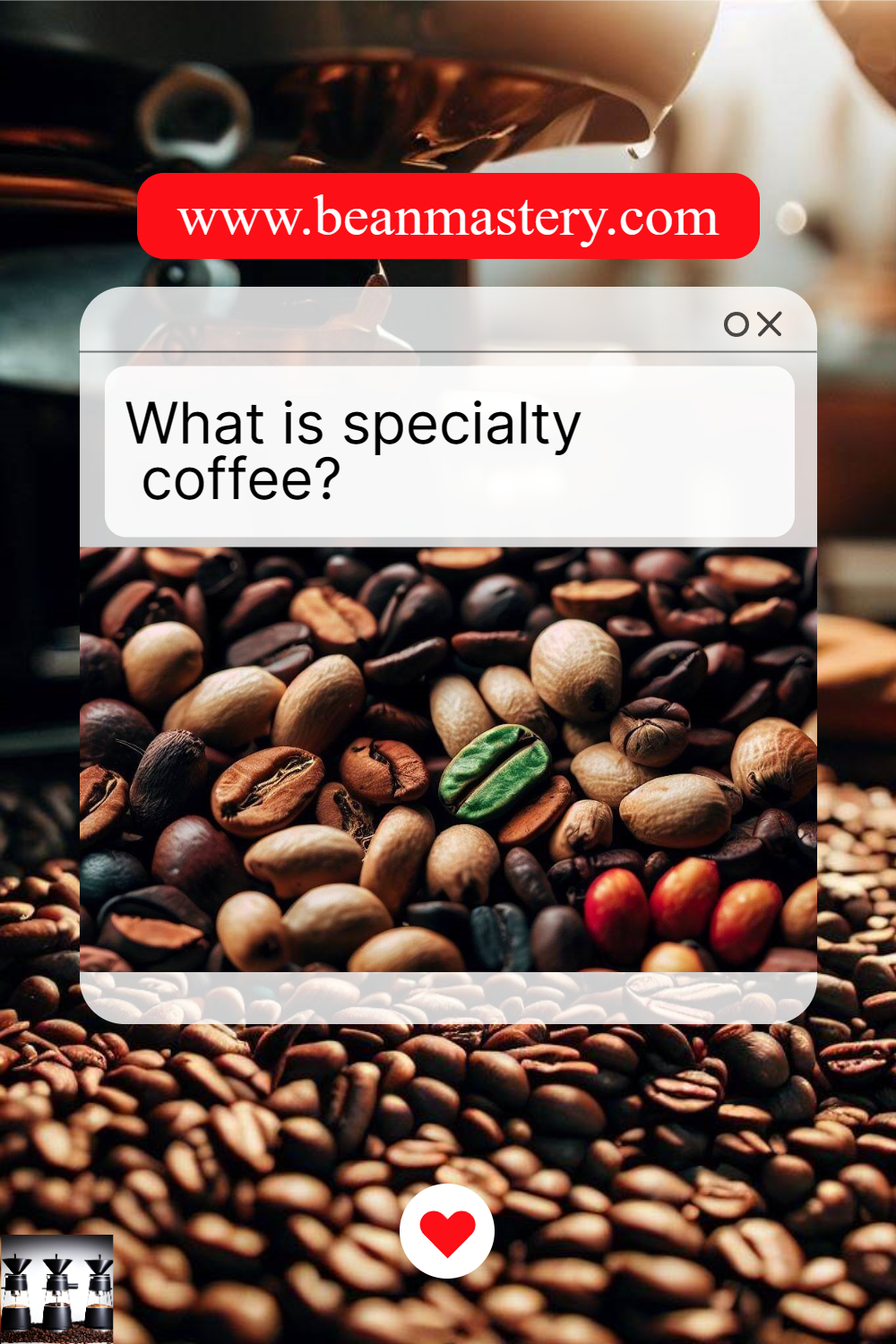 What is Specialty Coffee? - Beanmastery.com